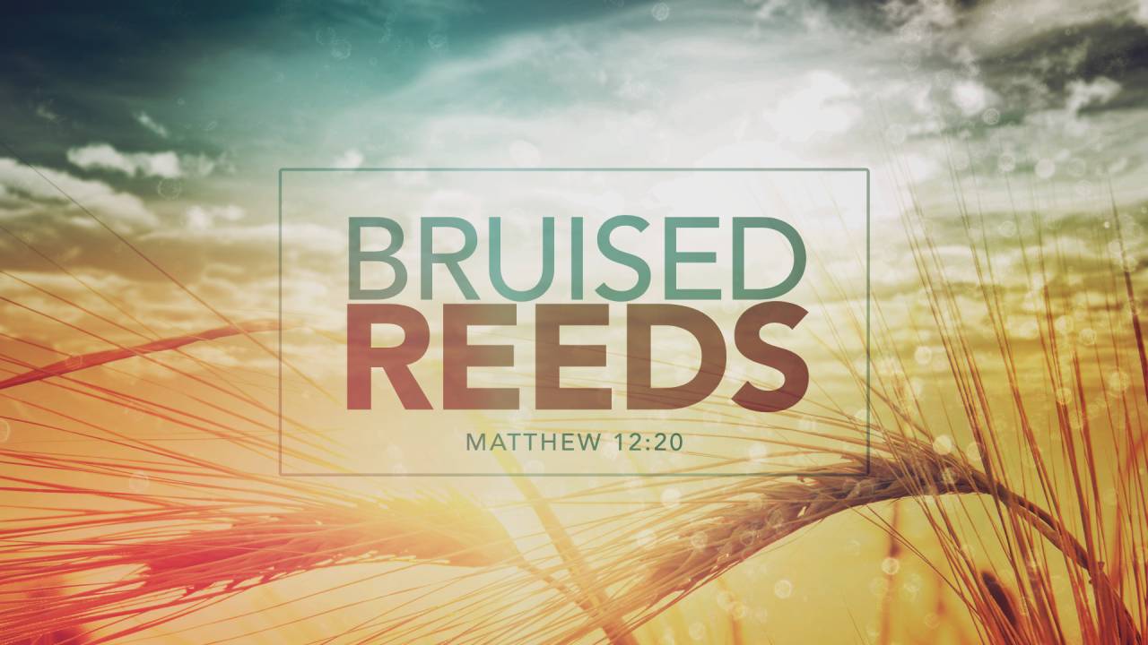 Bruised Reeds – Bible Baptist Church