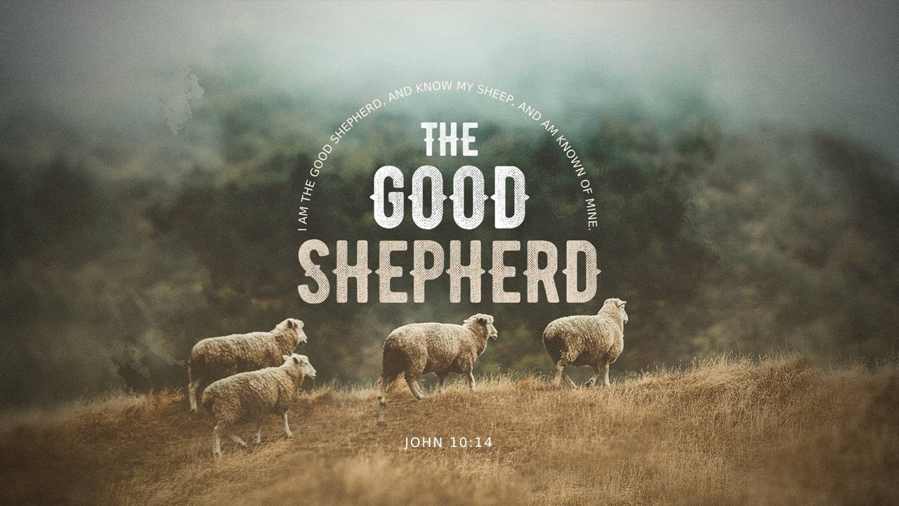 The Good Shepherd (Sermon Series) – Bible Baptist Church